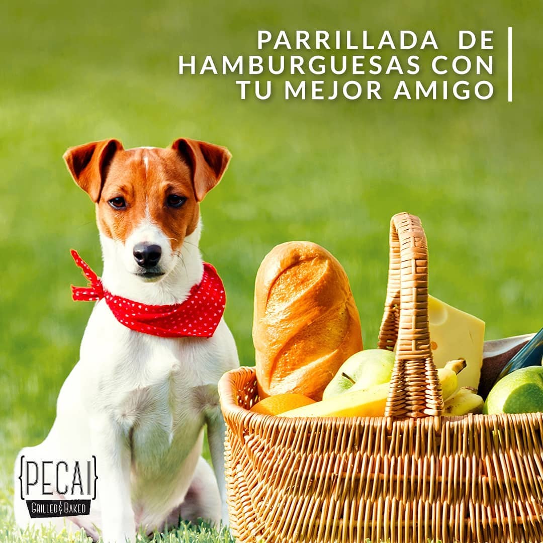 Restaurante Pecai :: Entérate